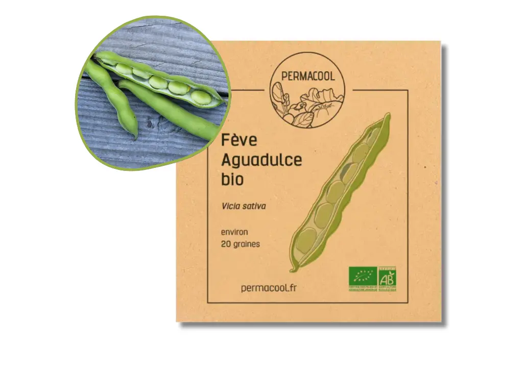 Fève Aguadulce - Graines bio à semer - Permacool